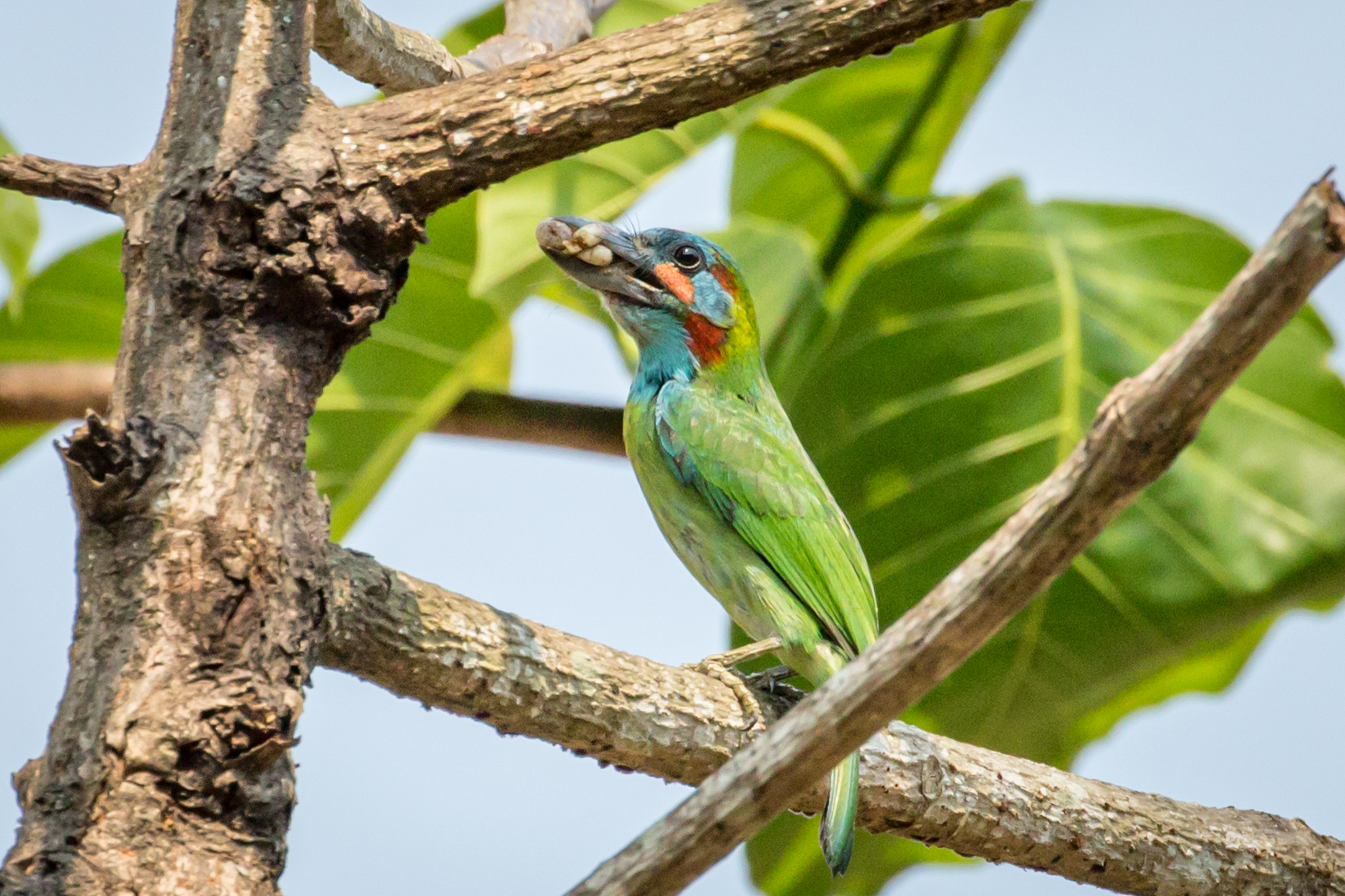 Now What? | Great Bird Pics