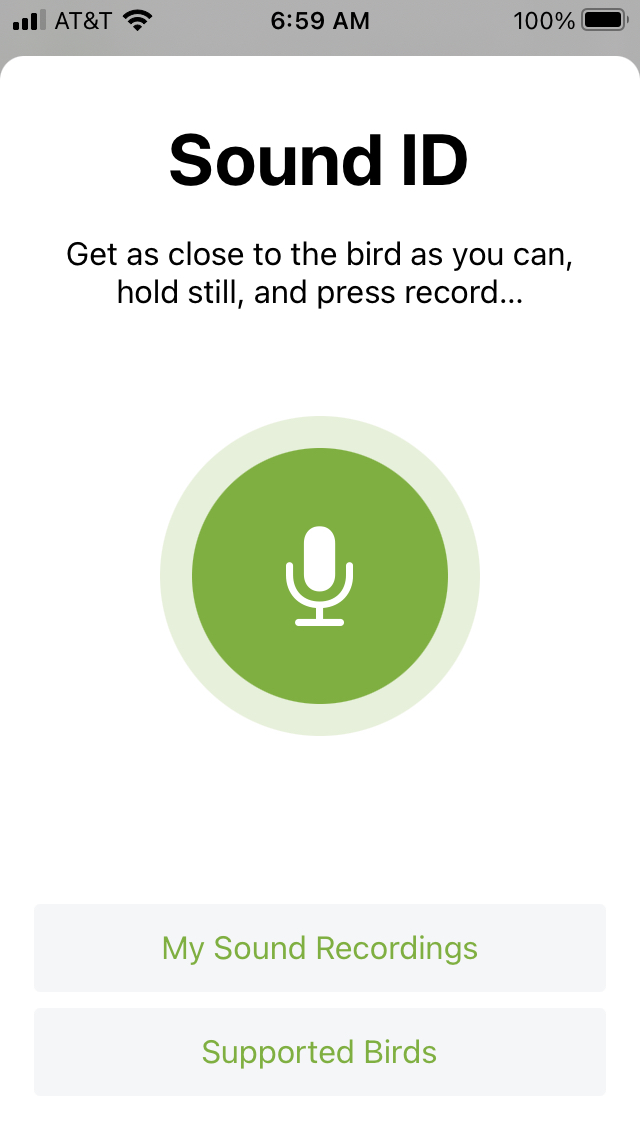 Merlin Sound ID Improves Your Birding Abilities | Great Bird Pics