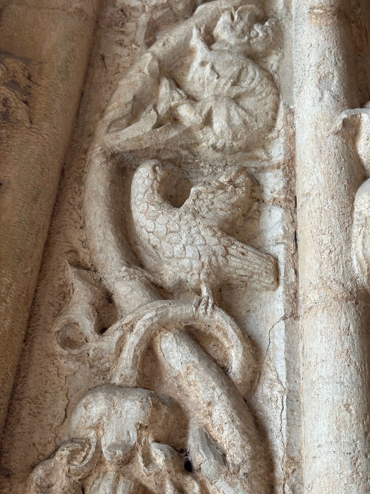 Mike’s Monday Pics – Portugal Stone Birds | Great Bird Pics