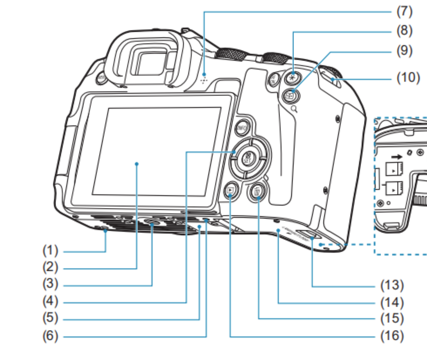 Viewfinder Magnification | Great Bird Pics