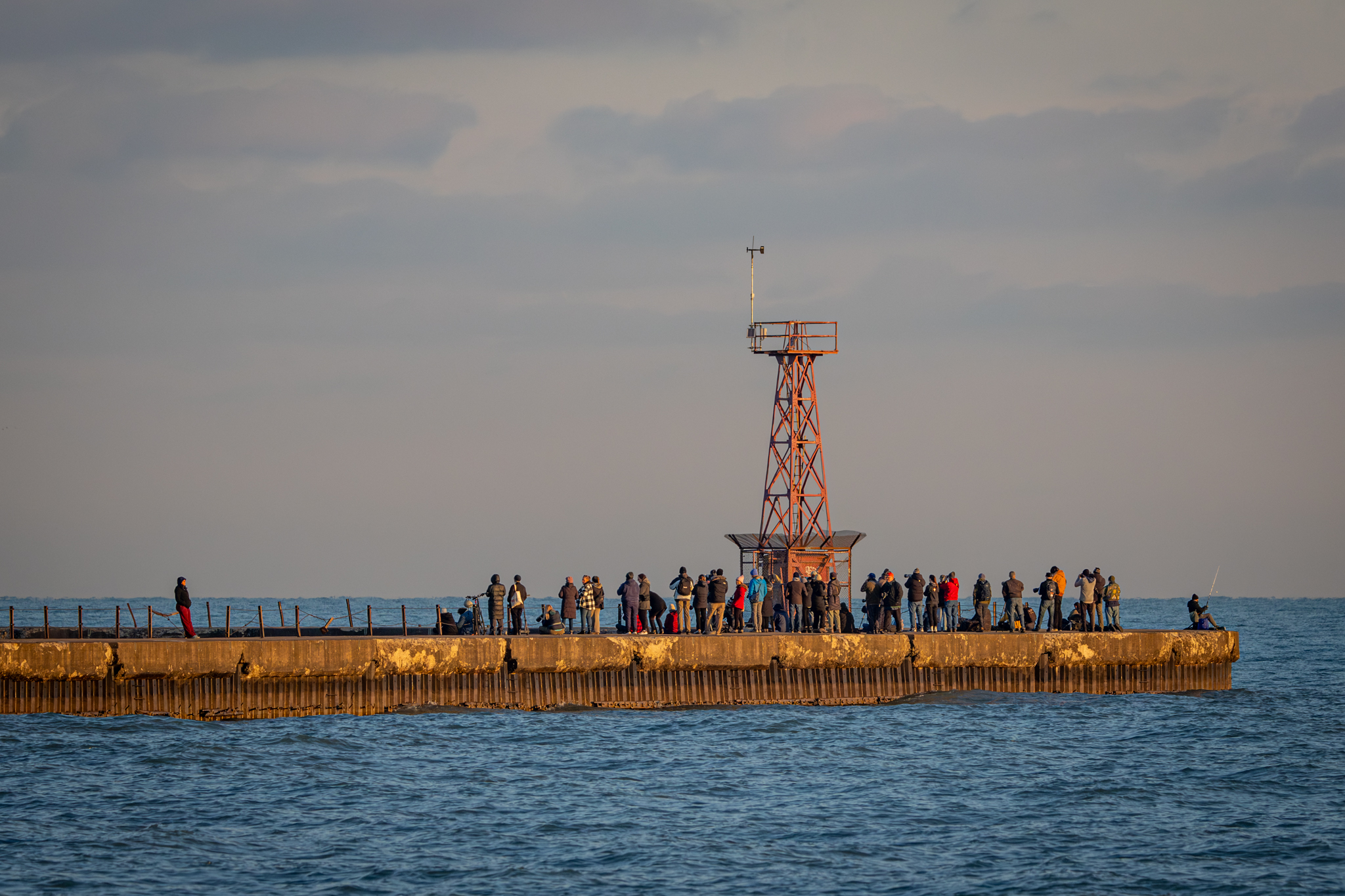 I Have Snowy Pics Too! | Great Bird Pics